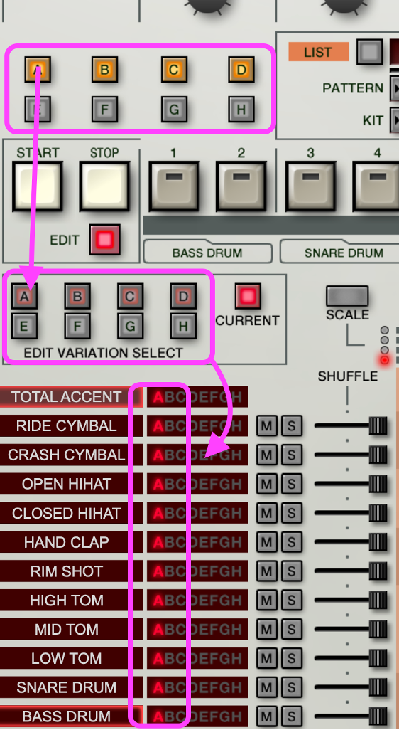 Roland Cloud: TR-909 Plugin Quick Start – Roland Corporation